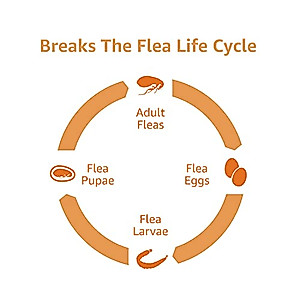 Amazon Basics Flea Topical for Medium Cats (5-9 pounds), 4 Count (Previously Solimo)