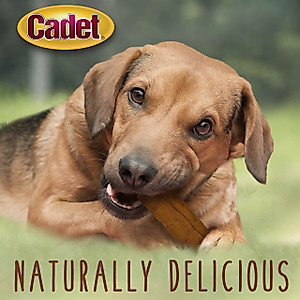 Cadet Premium Grade Beef Hide for Dogs, Rawhide Long Lasting Dog Chews, Chips, Curls & Rolls for Small/Medium/Large Dogs