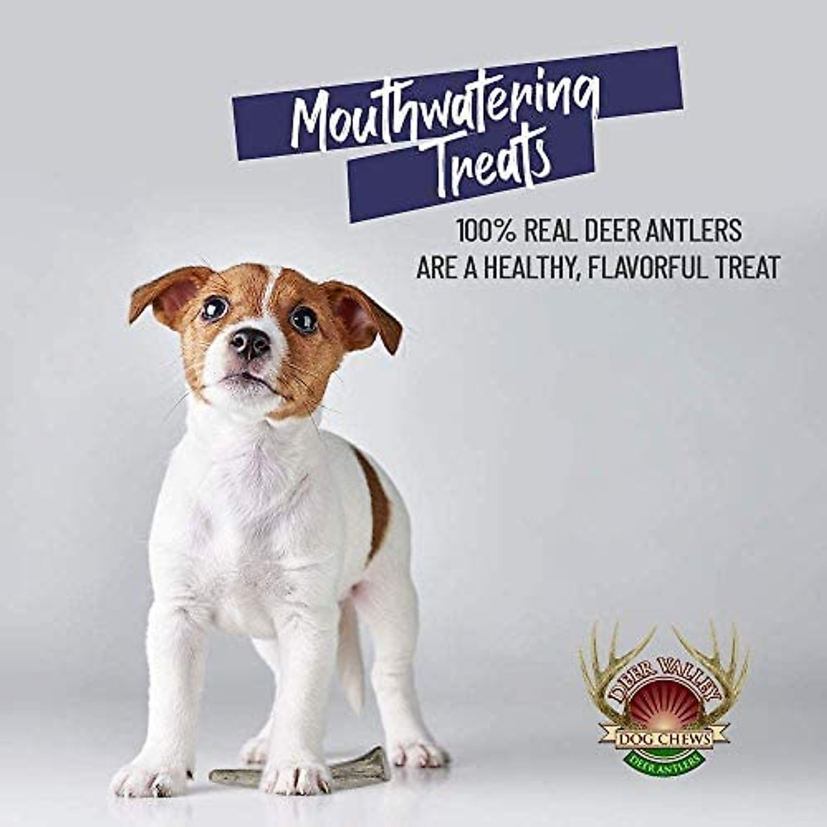 Deer Valley Dog Chews (Small 5-7 Inches, 6 Pack) Premium Deer Antler for Small Dogs - Long Lasting Dog Bone for Teething and Chewing - Organic, Odorless, Naturally Shed, USA