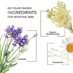 Babo Botanicals Calming 3-in-1 Face, Hand & Body Cleansing Wipes - with French Lavender & Meadowsweet - For Babies, Kids & Adults with Sensitive Skin - 30 ct.