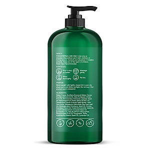 Botanic Hearth Eucalyptus & Tea Tree Body Wash - 16 fl oz - Helps Soothe Skin, Refreshing and Invigorating, Cleansing Shower Gel for Men and Women - Sulfate Free, Paraben Free