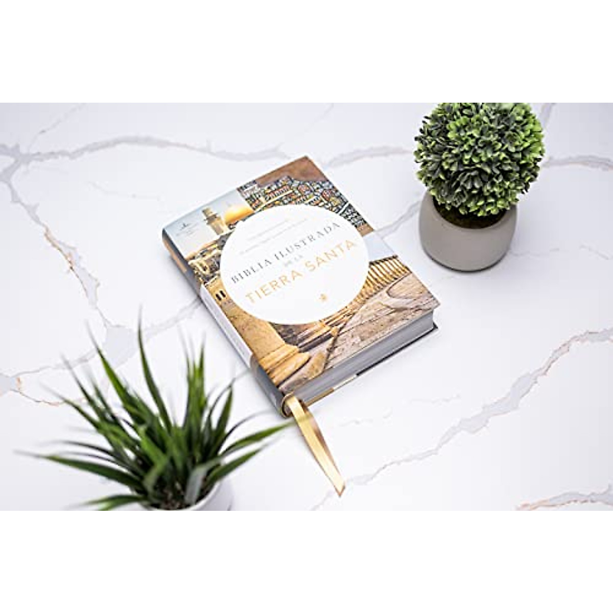 RVR 1960 Biblia ilustrada de la Tierra Santa, tapa dura / RVR 1960 Holy land Study Bible, Hardcover (Spanish Edition)