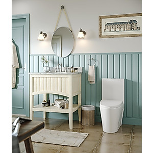 DeerValley Elongated One Piece Toilet with Comfortable Chair Seat Height 17", Dual Power Flush Toilet 1.1/1.6 GPF and 12'' Rough-In Toilet Bowl DV-1F52102