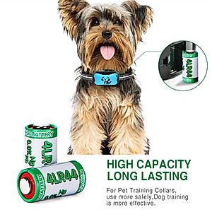 LiCB 10 Pack 4LR44 6V Battery PX28A 476A A544 K28A L1325 Battery 6V Alkaline Batteries for Dog Collars