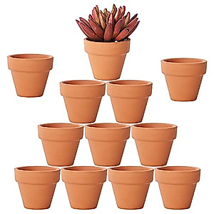 Yishang 1.9 Inch Tiny Terracotta Pots Pack of 12-Small Mini Clay Pots with Drainage Holes Flower Nursery Terra Cotta Planter for Tiny Cactus Herb lithop,Succulent Plants,Crafts,Wedding Favor