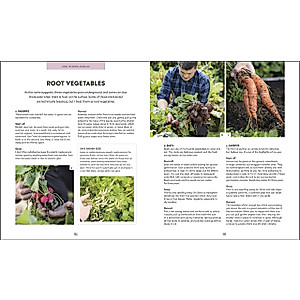 Grow Food For Free: The sustainable, zero-cost, low-effort way to a bountiful harvest