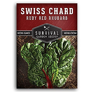Survival Garden Seeds - Ruby Red Rhubarb Swiss Chard Seed for Planting - Packet with Instructions to Plant and Grow Delicious Leafy Greens in Your Home Vegetable Garden - Non-GMO Heirloom Variety