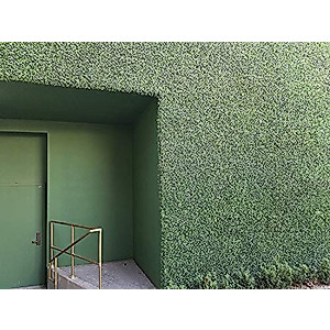 Artificial Boxwood Hedge, Faux Greenery Wall, Privacy Hedge Screen, UV Protected Faux Greenery Mats, Boxwood Wall, Suitable for Both Outdoor or Indoor (20x20 Inch DarkG_12pc)