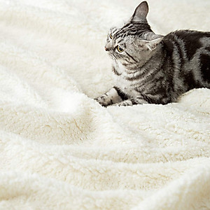 LBRO2M Sherpa Fleece Bed Blanket Queen Size Super Soft Fuzzy Plush Warm Cozy Fluffy Microfiber Couch Throw Double Reversible Blankets,Ivory