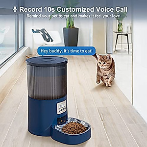 KESTERRA Automatic Cat Feeder, 4L Auto Dry Food Dispenser Small Dog Pet Feeder with 4 Meals Per Day Programmable Timed, 10s Voice Recorder, Twist Lock Lid, Stainless Steel Bowl, Dual Power Supply Blue