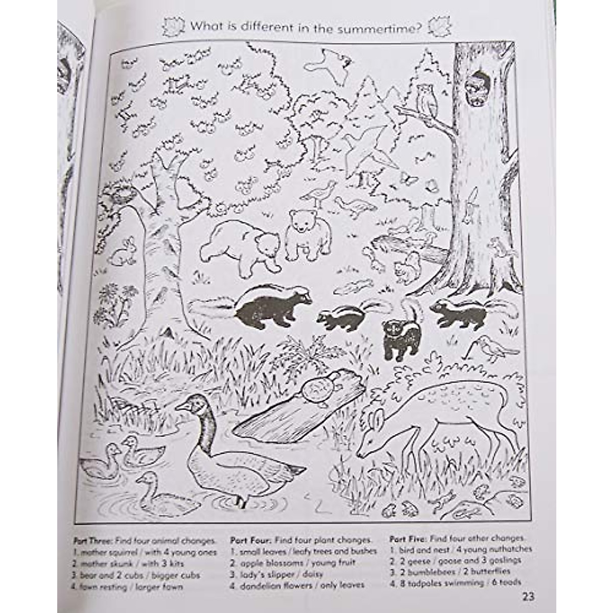 Rod & Staff Preschool Curriculum - GHI JKL Series - Early Learning Homeschool Set of 6 Workbooks