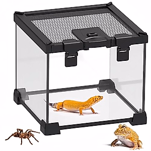 BNOSDM Reptile Tank,8" x 8" x 6" Mini Reptiles Terrarium,Full View Young Lizard Glass Tank,Small Amphibians Habitat Enclosure Cage for Tarantula,Frog,Hermit Crab,Isopods,Insects Breeding Box
