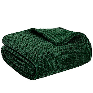 PAVILIA Soft Flannel Fleece Blanket Throw Emerald Green, Textured Decorative Velvet Blanket for Couch Sofa Bed, Fuzzy Plush Cozy Warm Lightweight Microfiber Throw, Jacquard Weave Leaves Pattern 50x60