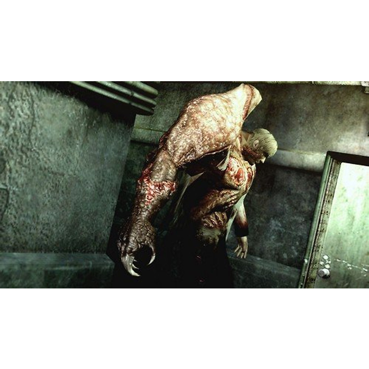 Resident Evil: The Darkside Chronicles