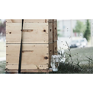 NIZEFEI 4PC Bee Hive Feeder White Beehive Entrance Feeder with Lid Bee Sugar Water Feeder of Beekeeping Supplies