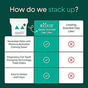 Boxie® Gently Scented 30 Day Natural Odor Control Cat Litter, 40lb Clumping Clay Kitty Litter