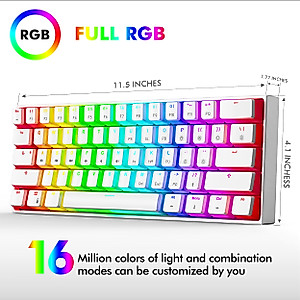 Ractous RTK61P 60% Mechanical Gaming Keyboard RGB Backlit PBT Pudding keycaps 61key Ultra-Compact Wired Keyboard Programmable for PC/Mac Gamers,Hot-Swappable Gateron Optical Blue Switch (White)