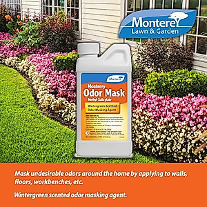 Monterey LG 1183 Agent Odor Mask, White