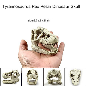 AWXZOM Desert Reptile Decor Skull Fish Tank Decorations Bearded Dragon Accessories Desert Reptile Decor Bearded Dragon Decor, Snake Tank Decor (Cattle+ Dinosaur)