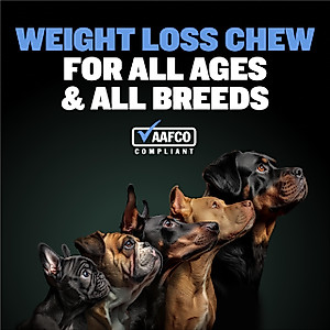 Bully Max 2-in-1 Dog Weight Management Supplement Chews for Adult & Senior Dogs - Dog Food Supplements for Immunity, Joint Health & Weight Control - Dog Treats for Small & Large Breeds - 75 Soft Chews