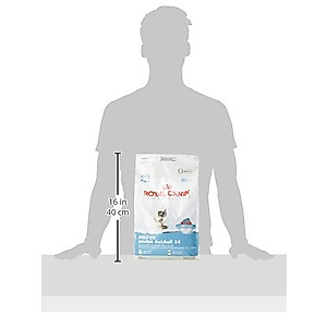 Royal Canin Hairball Care Dry Cat Food, 6 lb bag