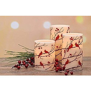 Mark Feldstein & Associates Flameless LED Glitter Berries and Cardinals Wax Pillar Candles with Timer, 3pc Set
