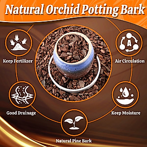 AVALUTION Orchid Potting Bark-3QT Organic Orchid Bark for Plants, All Natural Pine Bark Wood Chips Orchid Bark Potting Mix for Houseplant Mulch, Help Orchid Plants Root Health Development