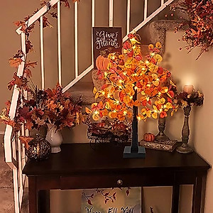 Agusbagli 24 Inch Artificial Fall Lighted Eucalyptus Tree Decor, 55 LED Battery Operated Fall Light Up Tabletop Tree with Timer for Indoor Home Wedding Harvest Fall Autumn Thanksgiving Decorations