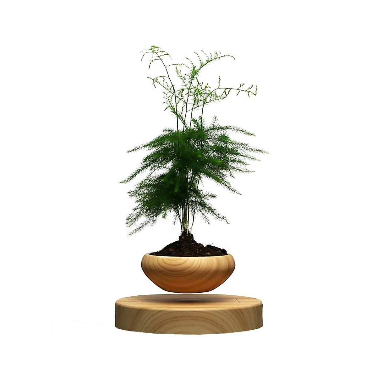 YBKJSTR LED Levitating Air Bonsai Pot Magnetic Levitation Suspension Flower Floating Pot Potted Plant Levitating Plant Pot for Display Decoration(Plant Pot Size, Height: 35mm, Diameter: 80mm)