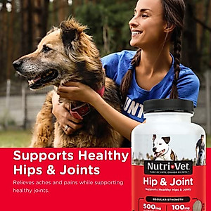 Nutri-Vet Hip & Joint Chewable Dog Supplements | Formulated with Glucosamine & Chondroitin for Dogs | 120 Count