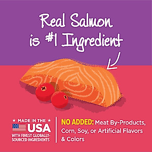 Wellness Kittles Natural Grain Free Cat Treats, Salmon & Cranberries, 6-Ounce Bag (Pack of 2)