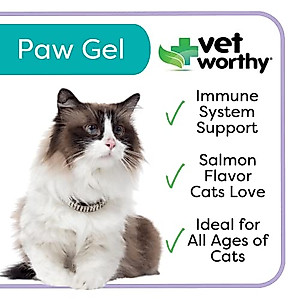 moofin Lysine Paw Gel Cat Supplements, 3oz Tube, Bundled with Hand Sanitizer Dispenser - Immune Support for Cats, Respiratory & Eye Health, Salmon Flavor, Easy Application [Pack of 2]