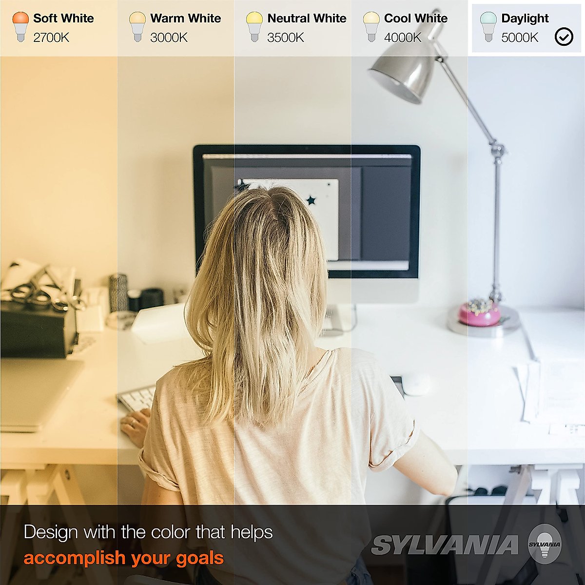SYLVANIA LED Light Bulb, 40W Equivalent A19, Efficient 6W, Medium Base, Frosted Finish, 450 Lumens, Daylight ,2 Count (Pack of 1)