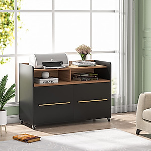Tribesigns 2 Drawer File Cabinet Rolling Filing Cabinets for Home Office Black lateral File Cabinet Wood File Cabinet for Letter Size, Printer Stand with Rolling Wheel and Open Storage Shelves
