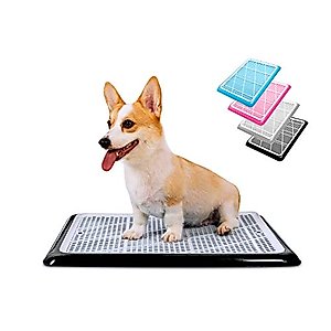Pet Awesome Dog Potty Tray/Puppy Pee Pad Holder 25”x20” Indoor Wee Training for Small and Medium Dogs