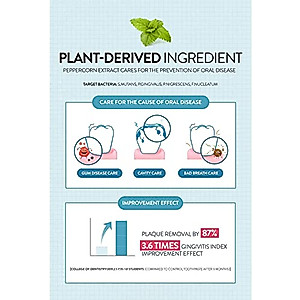 PERIOE Flouride-Free Himalayan Pink Salt Toothpaste, 3.4 oz - Ice Mint w/Aloe Vera | Vegan, Cruelty-Free, Paraben-Free Plaque & Tartar Remover Oral Care Travel Size Toothpaste