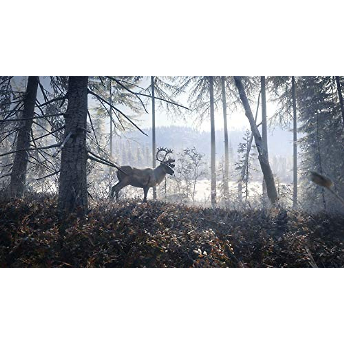 theHunter: Call of the Wild - 2019 Edition - PS4 (PS4)