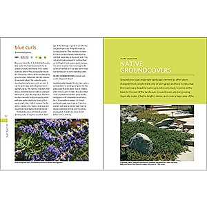 The California Native Landscape: The Homeowner's Design Guide to Restoring Its Beauty and Balance