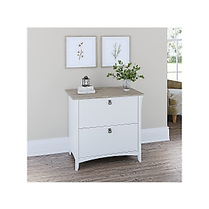 Bush Furniture Salinas 2 Drawer Lateral File Cabinet in Pure White and Shiplap Gray