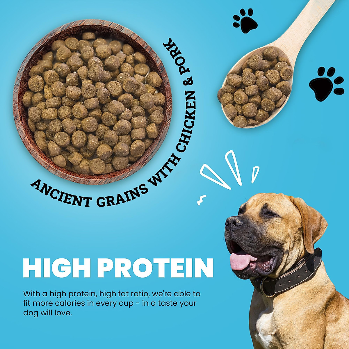 Muenster Adult Dry Dog Food, Small Breed, Large Breed - 4lb Bag Ancient Grain w/Chicken & Pork - Little Bites – Gluten Free, Non-GMO High Protein Dog Food - Soft & Healthy Digestive Dog Kibble