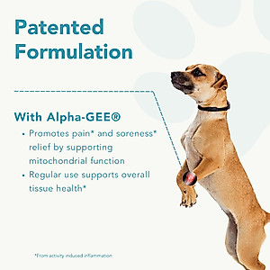 CANINE ACTIV Dog Joint Pain Relief Activity-Induced Capsules, Dog Joint Supplement Small Breed, Hip and Joint Supplement for Dogs, Dog Joint Pills for Fast Relief from Activity-Induced Pain - 90 Ct