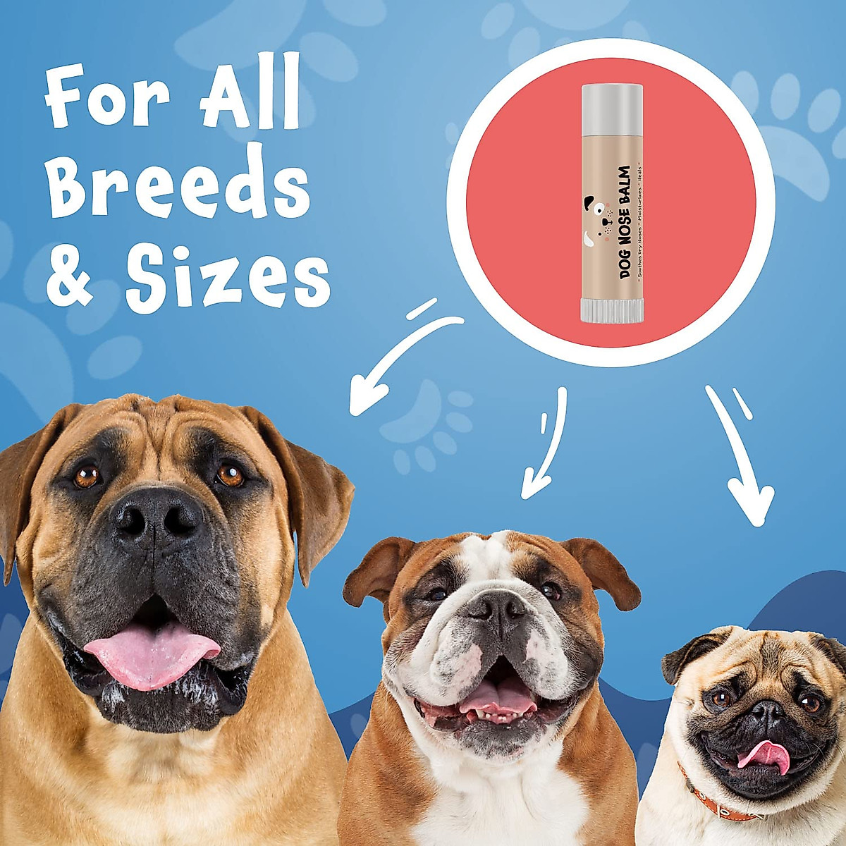 Evergreen Pet Supplies [3 Pack Dog Nose Balm for Soothing Relief from Dryness & Irritation – Snout Balm Provides Seasonal Protection – Nose Butter Dogs Relief Balm Made in USA - 0.15 oz Each