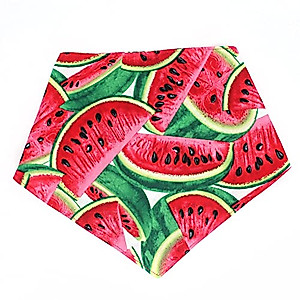 Red Watermelon Dog Bandana, Summer Bandana