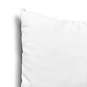 EDOW Throw Pillow Inserts, Set of 4 Lightweight Down Alternative Polyester Pillow, Couch Cushion, Sham Stuffer, Machine Washable. (White, 18x18)