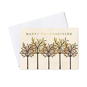 CEO Cards - Foil Stamped Thanksgiving Greeting Cards (Trees Of Autumn), 5.625x7.875 Inches, 25 Cards & 26 White with Gold Foil Lined Envelopes (TH1803)