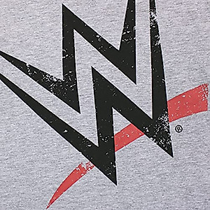WWE Boys' World Wrestling Entertainment Long Sleeved Top Size 12 Gray