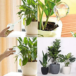 Gddochn 6 Pack Plant Self-Watering Bulbs,Clear Garden Watering Globes,Automatic Water Device for Plants,Indoor Outdoor Decor