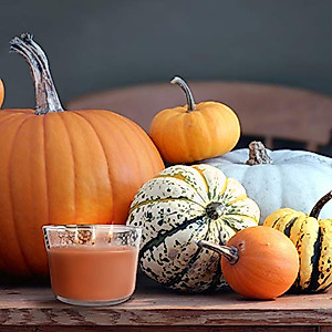 Glade Candle Pumpkin Spice, Fragrance Candle Infused with Essential Oils, Air Freshener Candle, 3-Wick Candle, 6.8 Oz