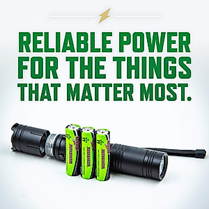 Interstate Batteries AAA Alkaline Battery (24 Pack) All-Purpose 1.5V High Performance Batteries - Workaholic (DRY0075)