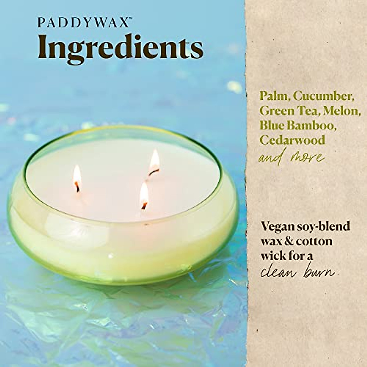 Paddywax Candles Realm Candle, 13.5 Ounces, Green, Bamboo
